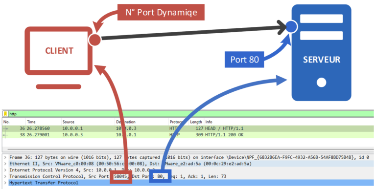 02 Installation d'un serveur web Apache - Pandawan